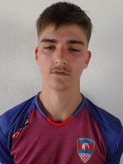 Dominik Dogan - Hrvatski nogometni savez