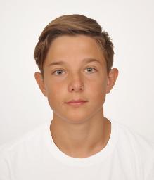 Dario Bosec - Hrvatski nogometni savez