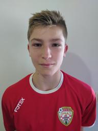 Ivan Gugić - Hrvatski nogometni savez