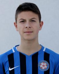 Roko Radić - Hrvatski nogometni savez