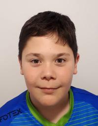 William Pongrac - Hrvatski nogometni savez