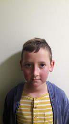 Fran Mlinarić - Hrvatski nogometni savez